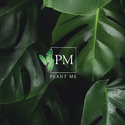 Plant Me – Brand&Co Chile